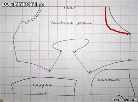 Выкройки Выкройка комбинезона Одежда для собак