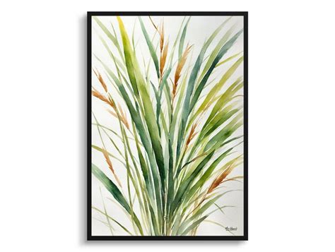 Peruvian Feather Grass Watercolour Botanical Art Print Stipa Ichu Minimalist Framed Plant Wall