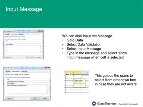 Excel Presentation Data Validation Pptx