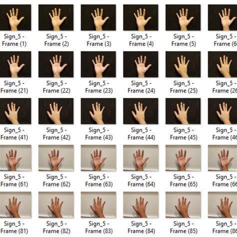 Bangla Sign Language Dataset Kaggle