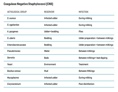 Environmental Vs Contagious Mastitis