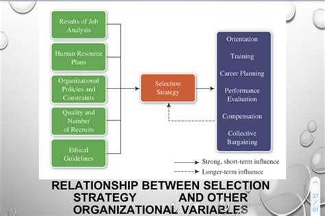 Selection Flashcards Quizlet