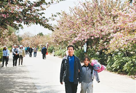第八届演说中国全国青少年演讲与朗诵艺术展示启动 文教 新乡网新闻中心