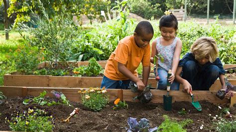 8 Essential Tools You Need To Start Gardening Now Angi