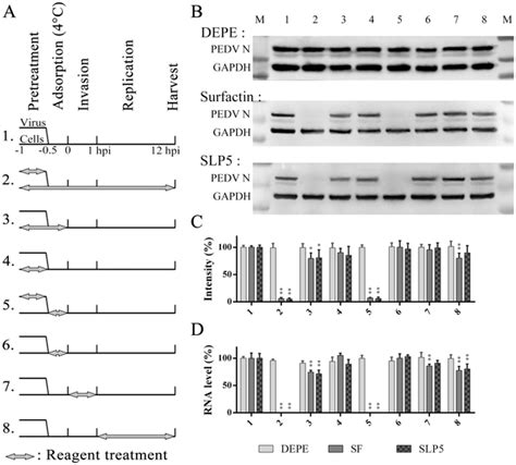 Vesicular Stomatitis Virus Plos One