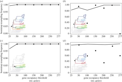 bootstrap resampling frequency for phylogenetic hypotheses a