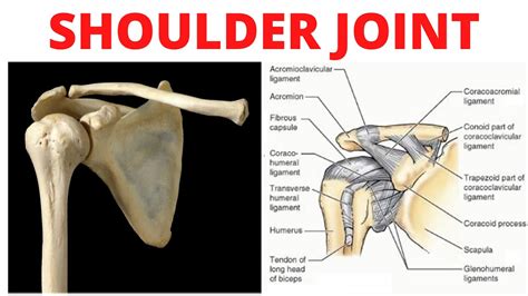 Explantation Of Shoulder Joint