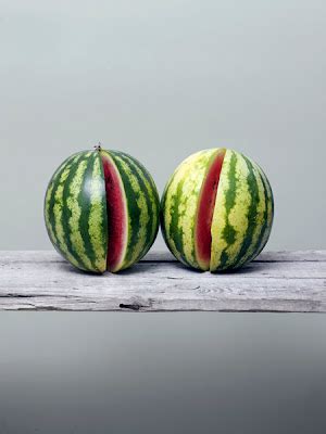 Hopscotch Champion Sex Vegetables