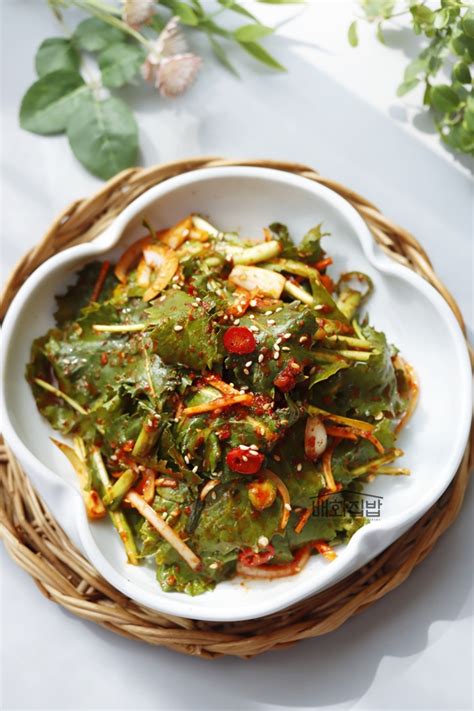 유채나물무침 유채나물 겨울초 겉절이 하루나무침 유채김치 겨울초무침 네이버 블로그