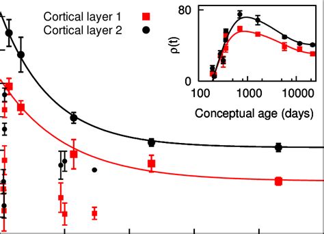 1 Synaptic Densities In Layers 1 Red Squares And 2 Black Circles