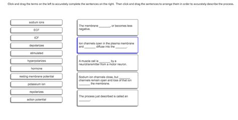 solved click and drag the terms on the left to accurately