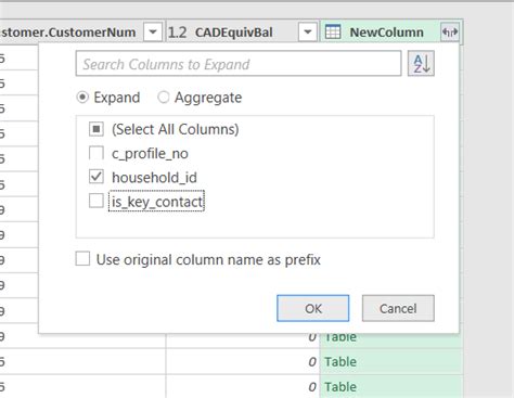 Power Query Use Case Feathers Analytics