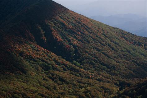 自然・風景のカテゴリに関連する写真素材・ai画像素材13067枚 448ページ目 ぱくたそ