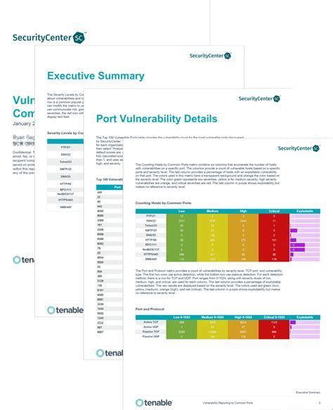 Vulnerability Report Template Report Template Templates Vulnerability