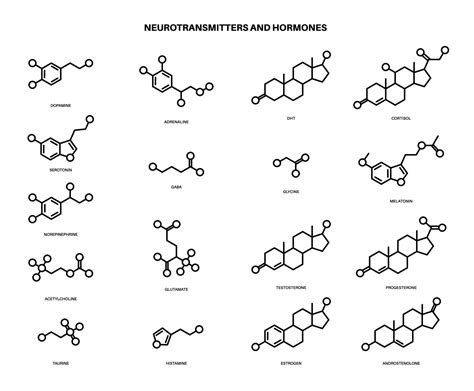 Neurotransmitters Vs Hormones