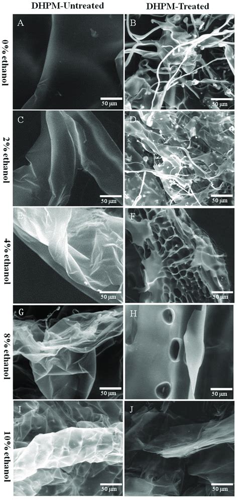 Environmental Scanning Electron Micrograph Of Pectin Treated With Or Download Scientific