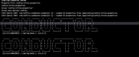 Docker Server Build Seems To Boot 2 Conductor Instances In Container