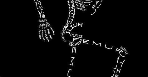 Skeleton Typogram By Aaron Kuehn Imgur