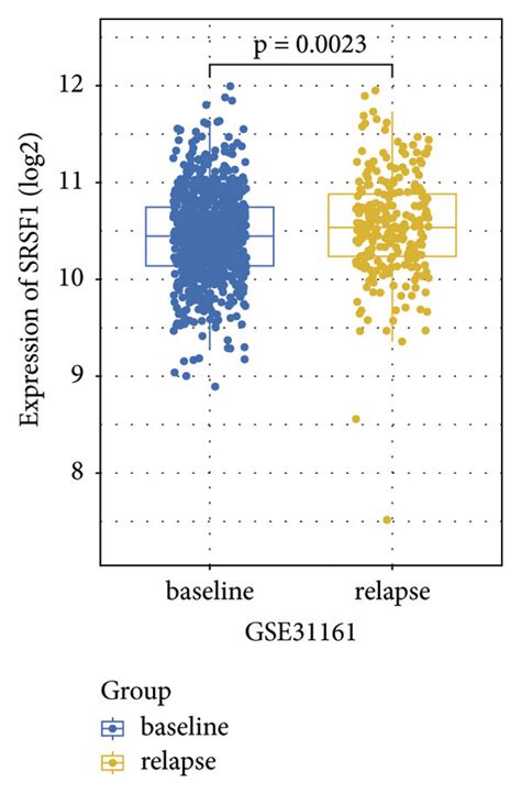 The Expression Of Srsf1 In Different Age Groups Iss Stages Download Scientific Diagram