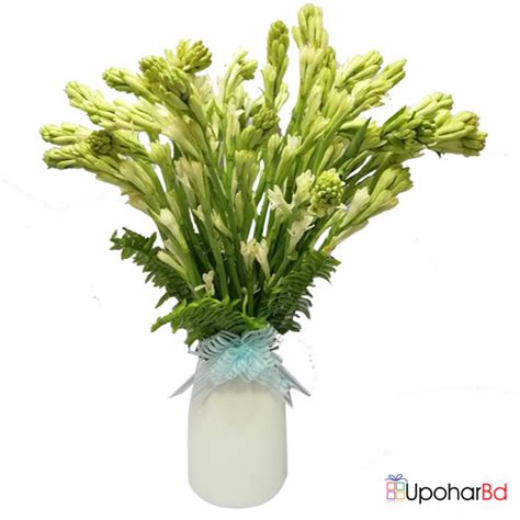 ফুলের ছবি পিকচার বাংলা ছবি পিকচার ফুলের ফটো