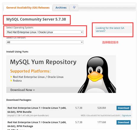 Linux安装Mysql_linux下载安装mysql-CSDN博客