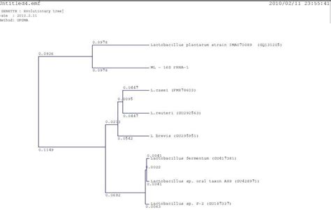 Figure 2 From Isolation Of Lactobacillus Plantarum From Cow Milk And Screening For The Presence