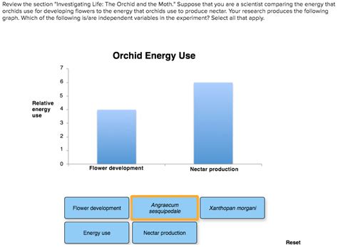 Solved Review The Section Investigating Life The Orchid