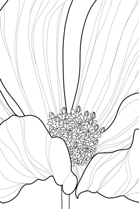 Learn To Draw Modern Floral Line Art For Beginners Abstract Floral