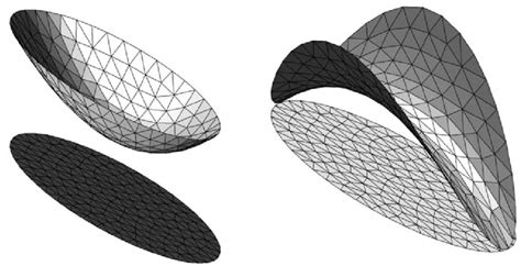 Triangulations Of Elliptic And Hyperbolic Paraboloids And Their