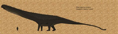Explore The Best Barosaurus Art Deviantart