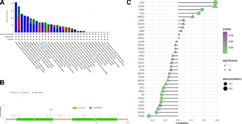 genetic alterations in ppm1m using the cbioportal database we