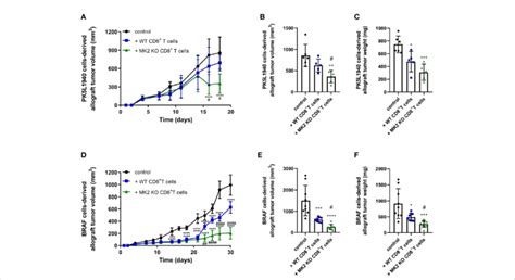 Tumors Exposed To Mk2 Ko Cd8 T Cells Show Decreased Tumor Growth In