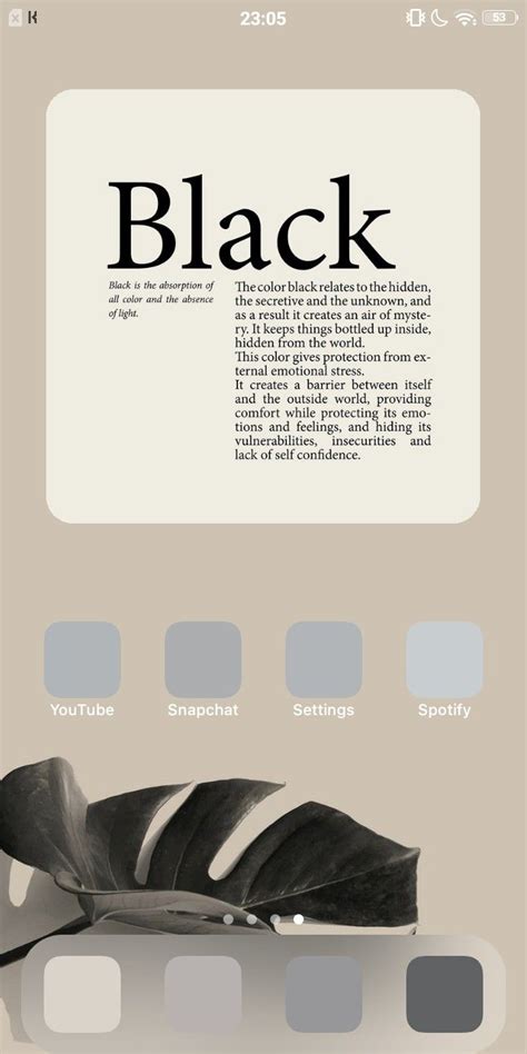 IOS Minimalist Homescreen Setup With Black Leaf Wallpaper