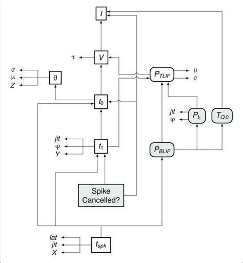 Data Dependency In The Blif Neuron The Notation Is As In Figure 4 Download Scientific