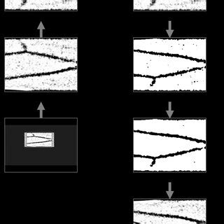 The Workflow Of Image Processing Algorithm Including Image Cropping