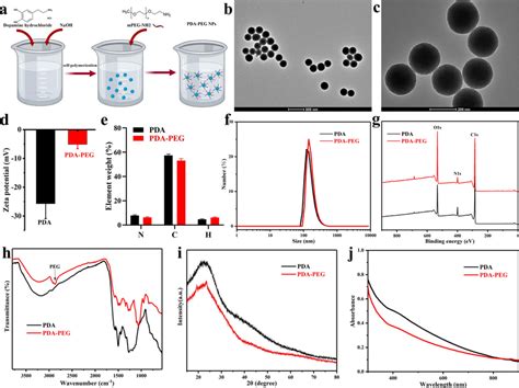 Synthesis And Characterization Of Pda Peg Nps A Schematic Illustration