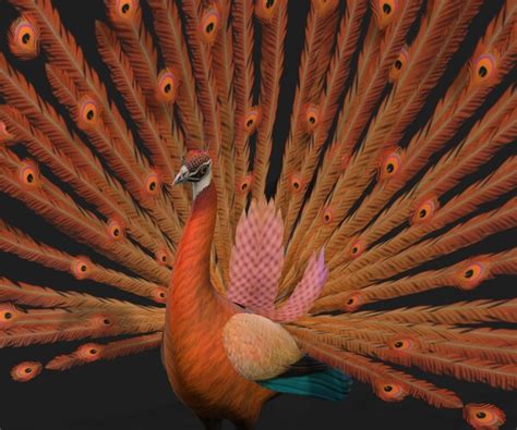 Artstation Peacocka4 Game Assets