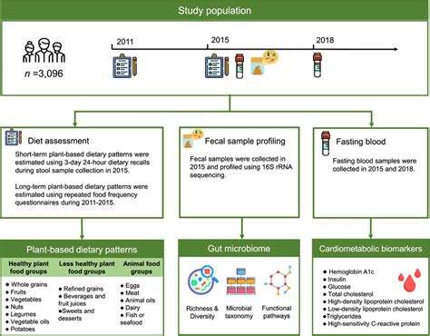 Overview Of The Study And Analysis Workflow This Study Profiled The
