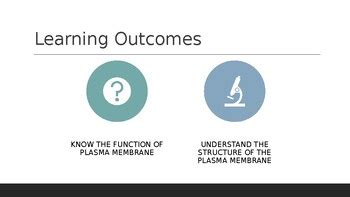 Plasma Membrane Ppt By The Fun Biology Teacher TPT