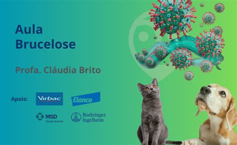 Aula Brucelose Vetsapiens