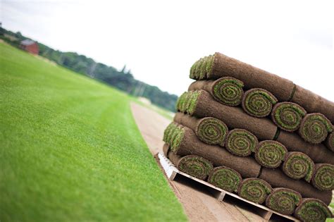 Amenity Grass Seed Lawn Landscaping And Sports Hurrells Seeds