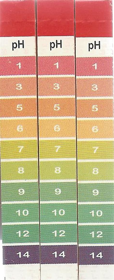 Ph Chart Paper