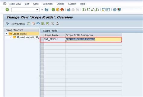 Maintain Scope Profiles In Sap