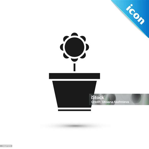 흰색 배경에 고립 냄비 아이콘에 검은 꽃입니다 냄비에 자라는 식물 화분에 심은 식물 표지판 벡터 일러스트레이션 0명에 대한 스톡 벡터 아트 및 기타 이미지 Istock