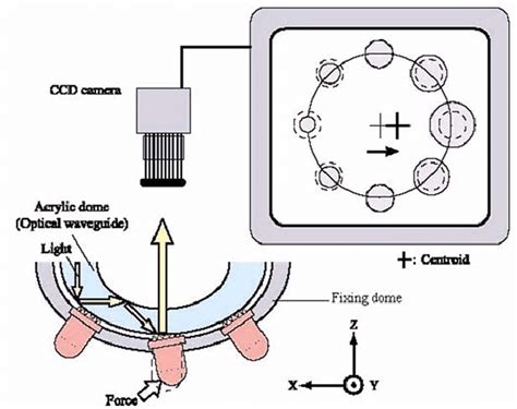 Structure Of Hemispherical Dome Shaped Optical Three Axis Tactile
