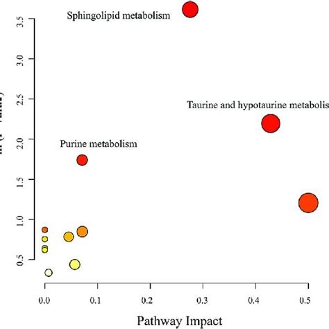 The Pathway Analysis Of Fecal Differentially Expressed Metabolites
