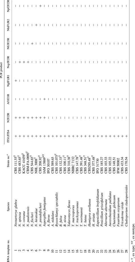 Detection Of Pcr Products Amplified By Each Primer Set Download Scientific Diagram