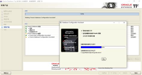 win10 安装oracle数据库，oracle19c进度滞留在42 oracle11g进度滞留在46 ！ csdn社区