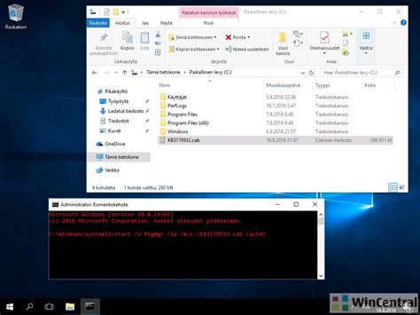 how to install cab files on windows 10 using dism