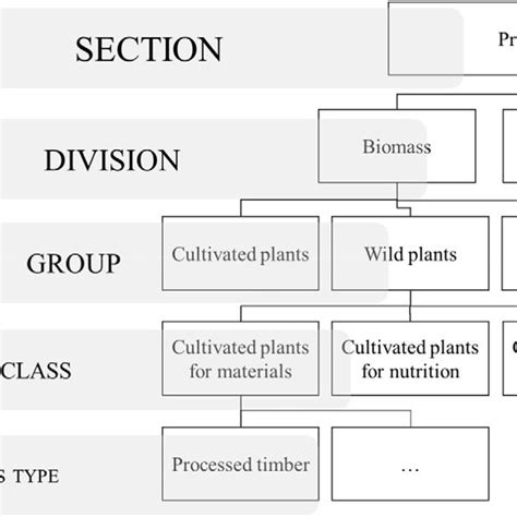 The Hierarchical Structure Of The Common International Classification